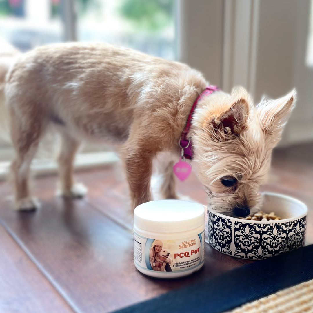 Untitleddesign_95_1200x1200.png?v=1697719505